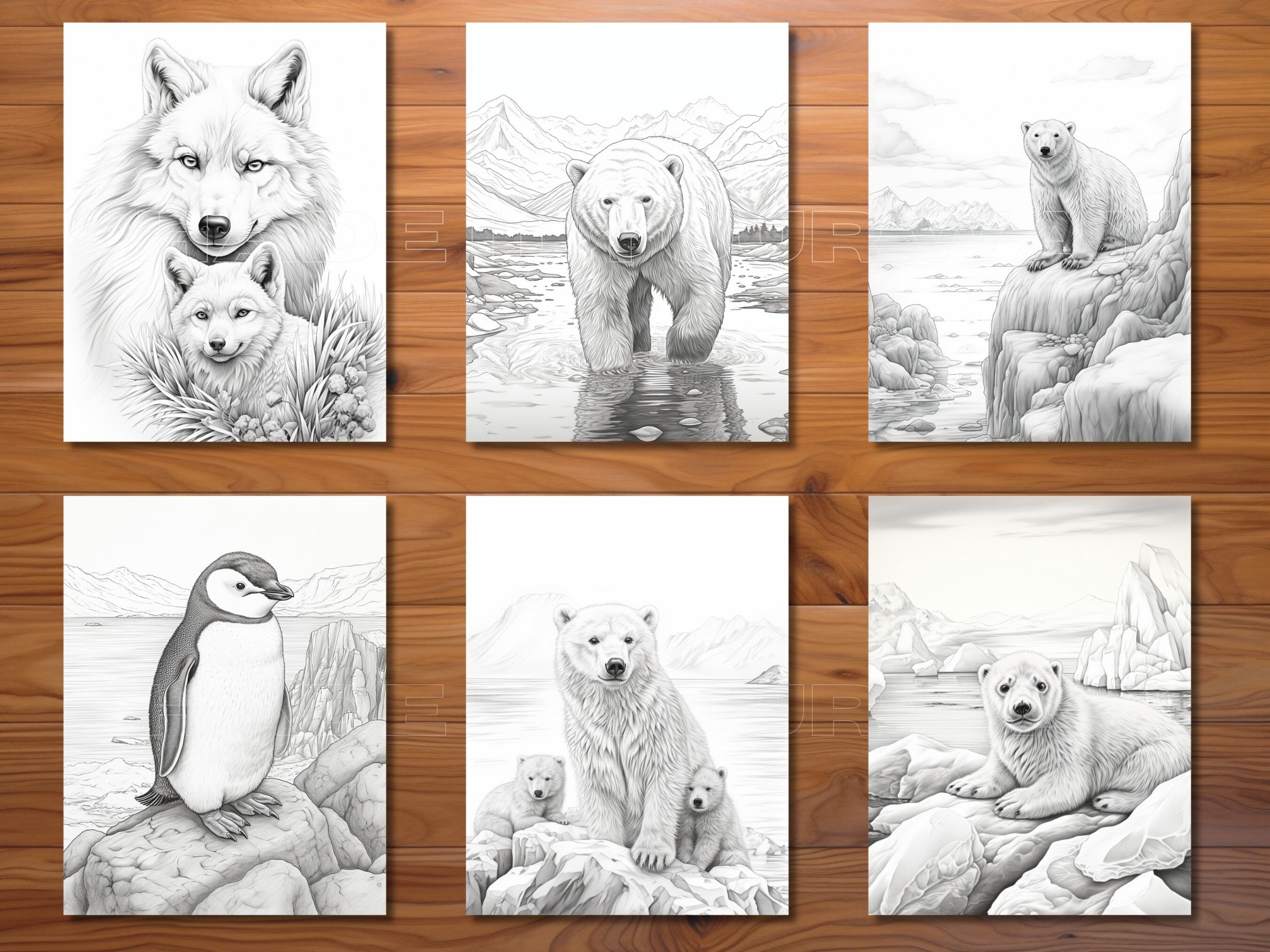 30 Arctic Adventures Coloring Page Book - Adults + Kids - Instant ...