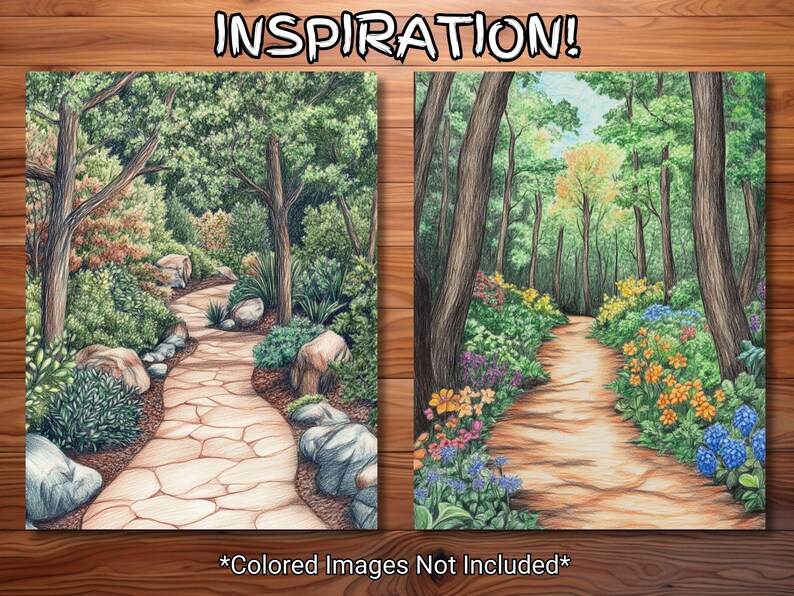 30 Nature Walk Coloring Page Book - Adults + Kids - Instant Download ...