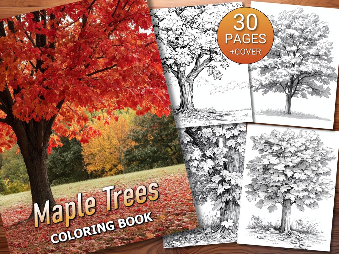 30 Maple Trees Coloring Page Book - Adults + Kids - Instant Download ...