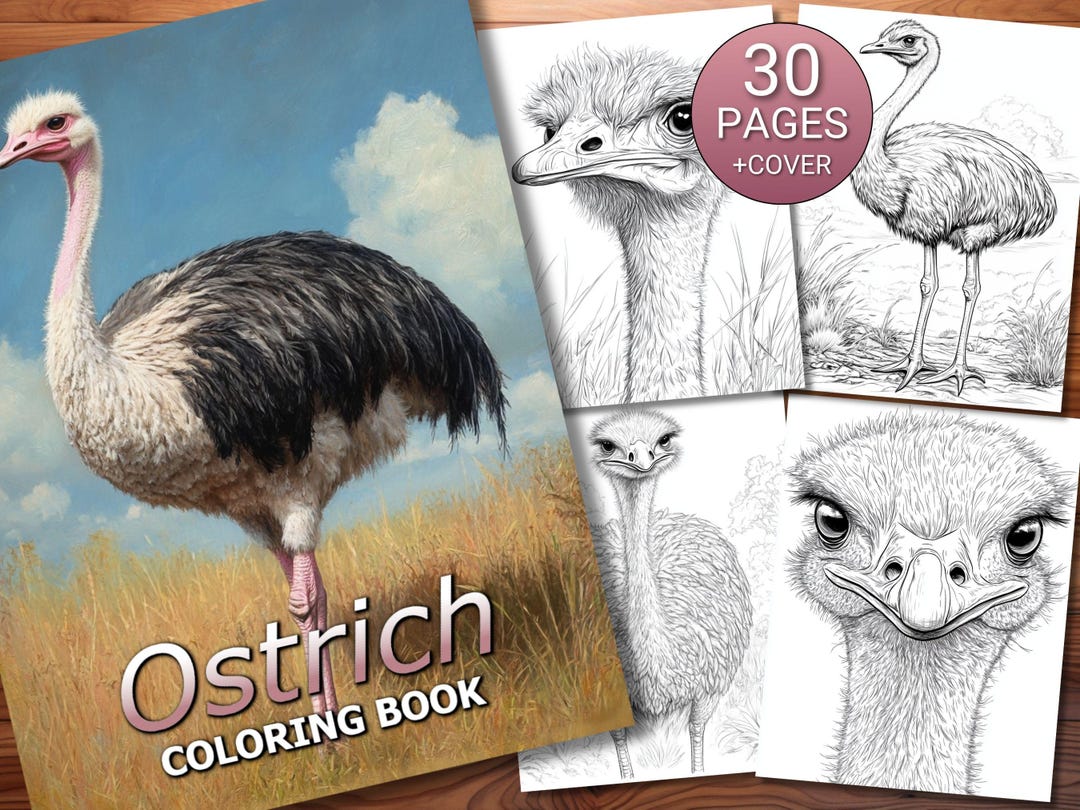 30 Ostrich Coloring Page Book - Adults + Kids - Instant Download ...