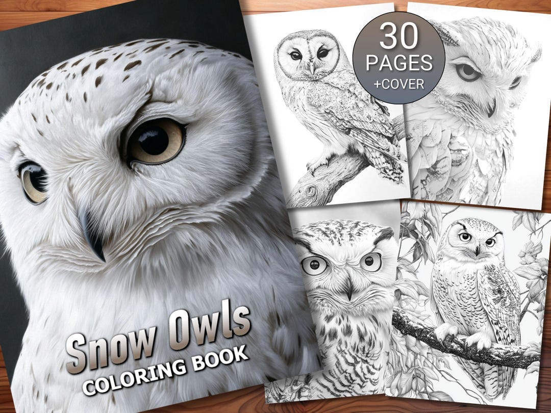 30 Snow Owls Coloring Page Book - Adults + Kids - Instant Download ...