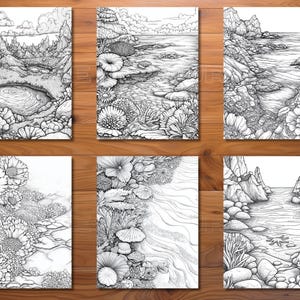 30 Tide Pool Coloring Page Book - Adults + Kids - Instant Download ...