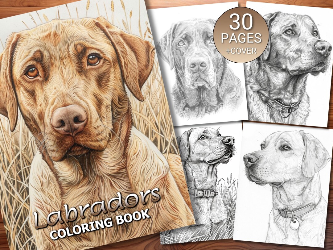 30 Labradors Coloring Page Book - Adults + Kids - Instant Download ...