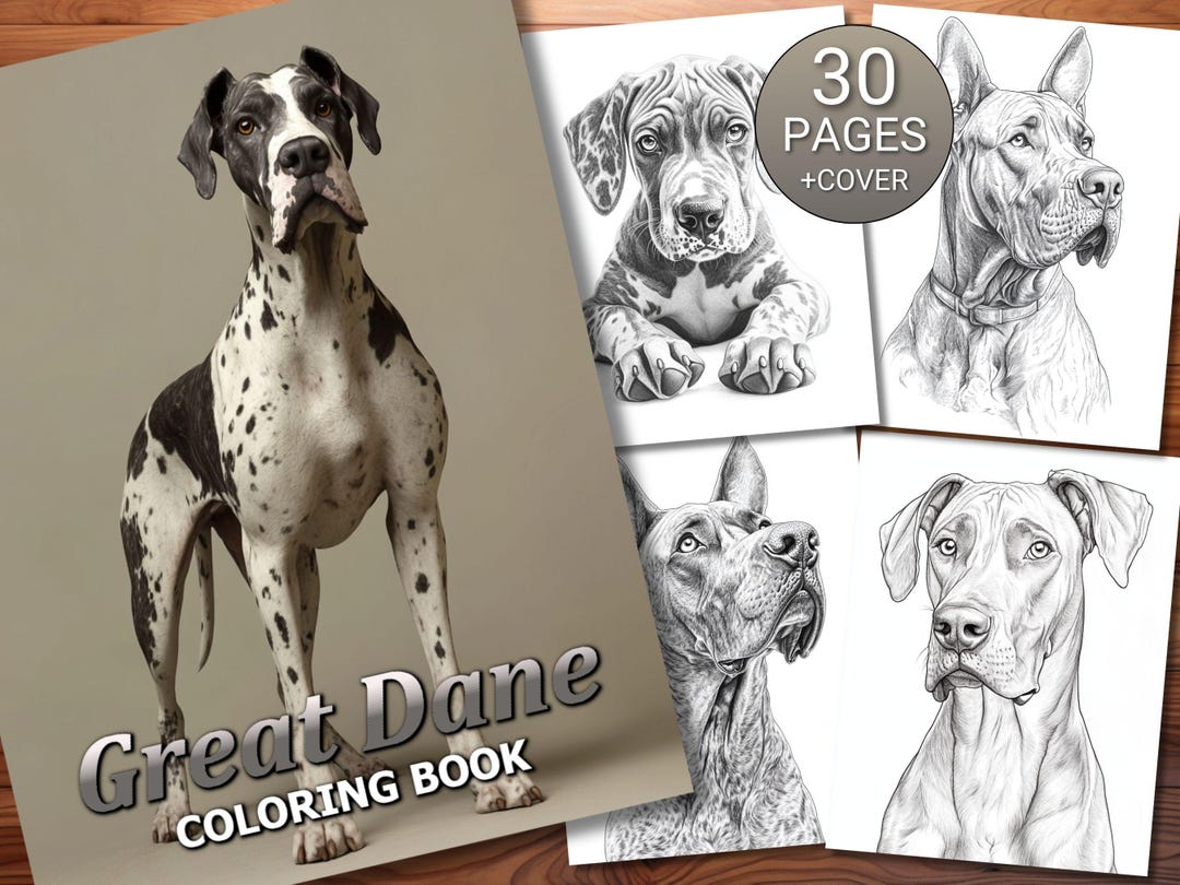 30 Great Dane Coloring Page Book - Adults + Kids - Instant Download ...