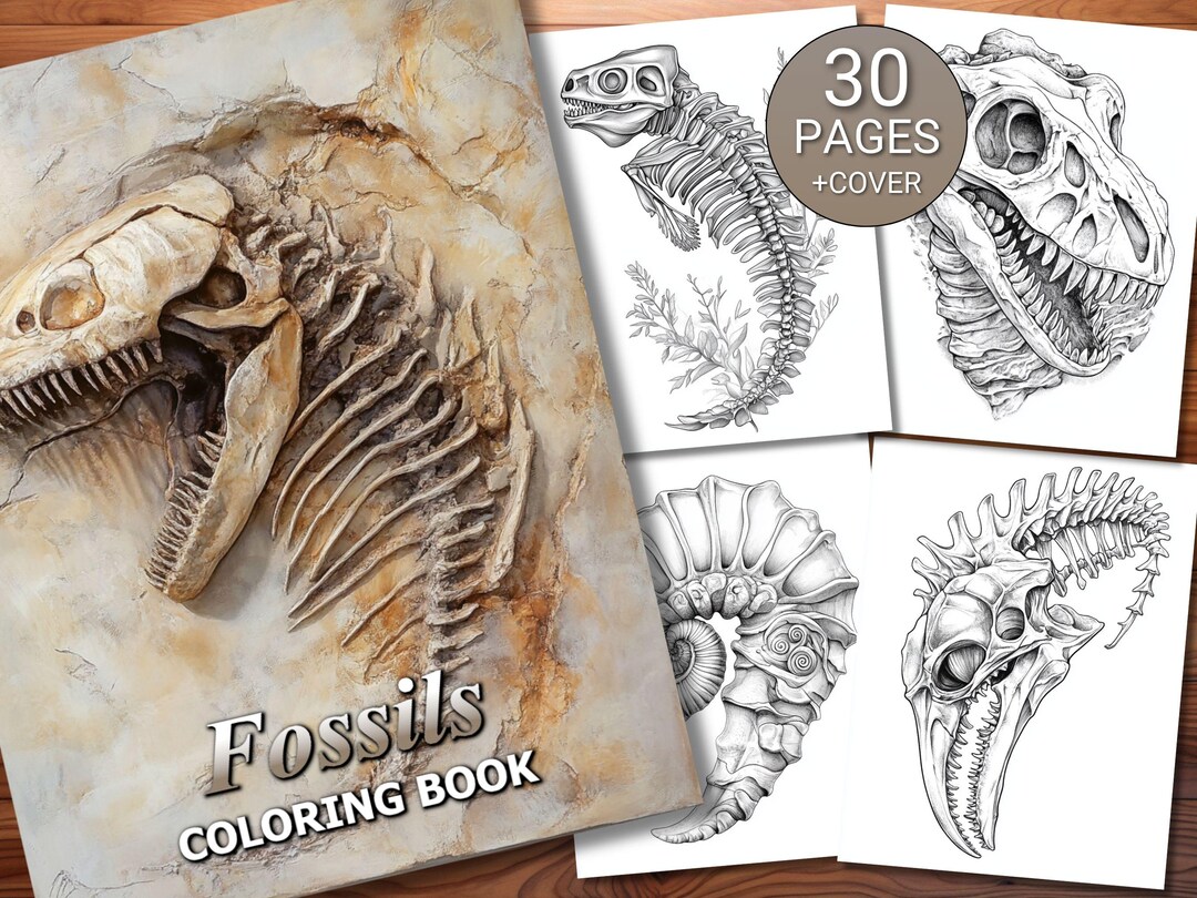 30 Fossils Coloring Page Book - Adults + Kids - Instant Download ...