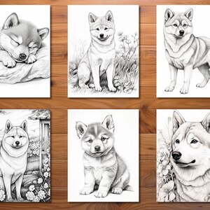 30 Shiba Shenanigans Coloring Page Book - Adults + Kids - Instant ...