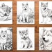30 Shiba Shenanigans Coloring Page Book - Adults + Kids - Instant ...