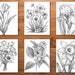 30 Spring Flowers Coloring Page Book - Adults + Kids - Instant Download ...