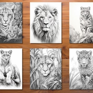 30 Big Cats Coloring Page Book - Adults + Kids - Instant Download ...