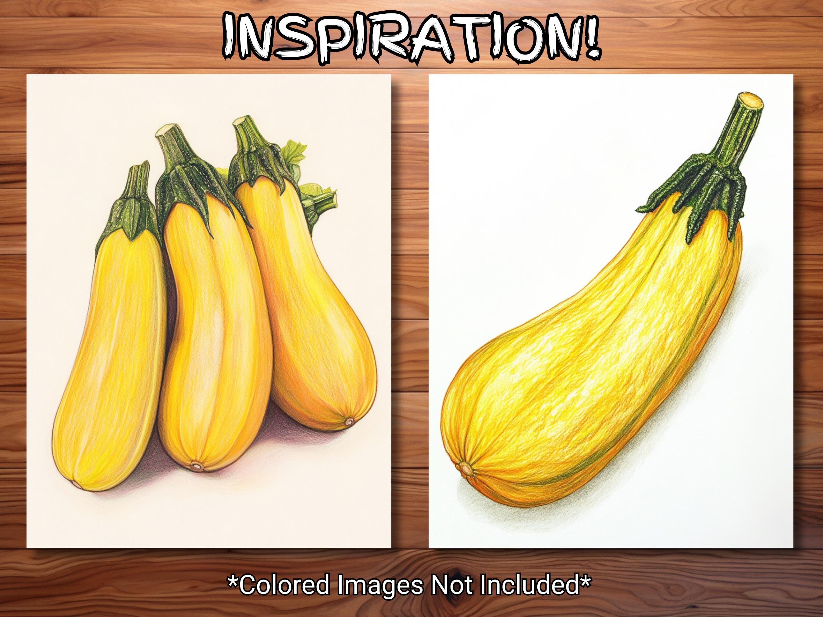 30 Summer Squash Coloring Page Book - Adults + Kids - Instant Download ...