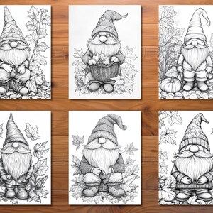 30 Fall Gnomes Coloring Page Book - Adults + Kids - Instant Download ...