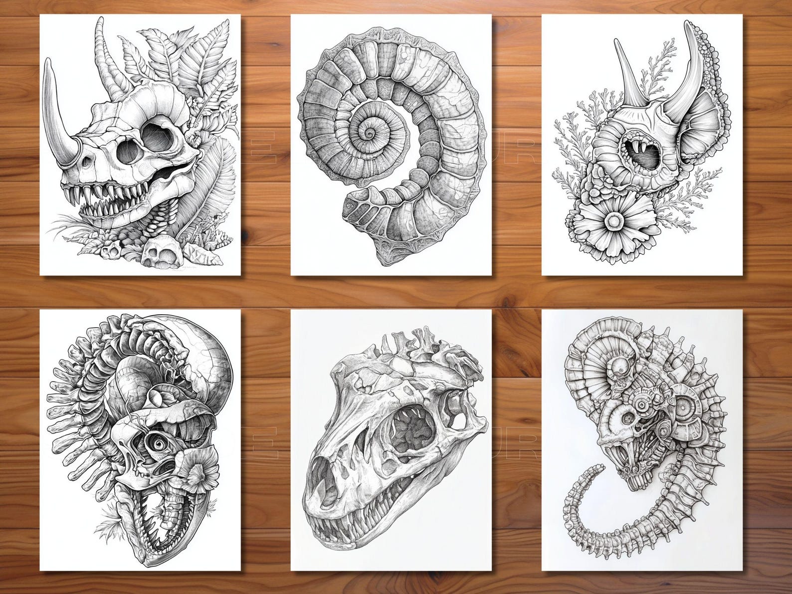 30 Fossils Coloring Page Book - Adults + Kids - Instant Download ...