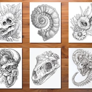 30 Fossils Coloring Page Book - Adults + Kids - Instant Download ...