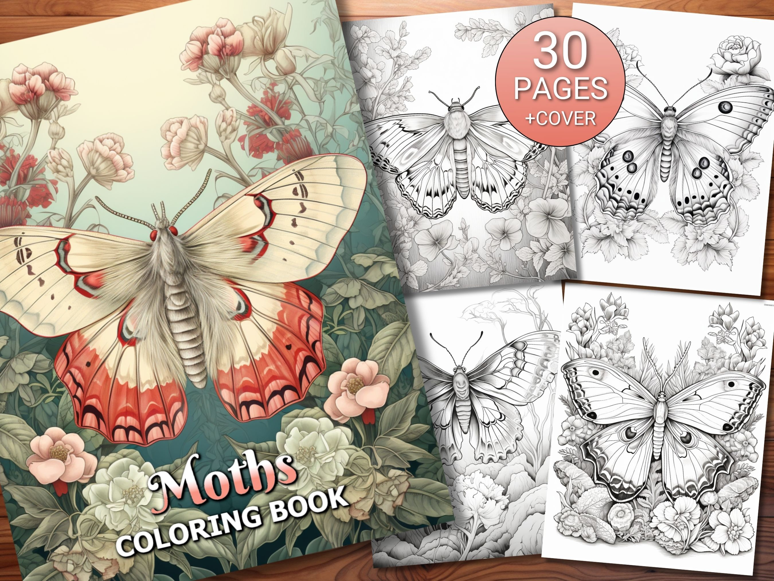 30 Moths Coloring Page Book Adults Kids Instant Download - Etsy