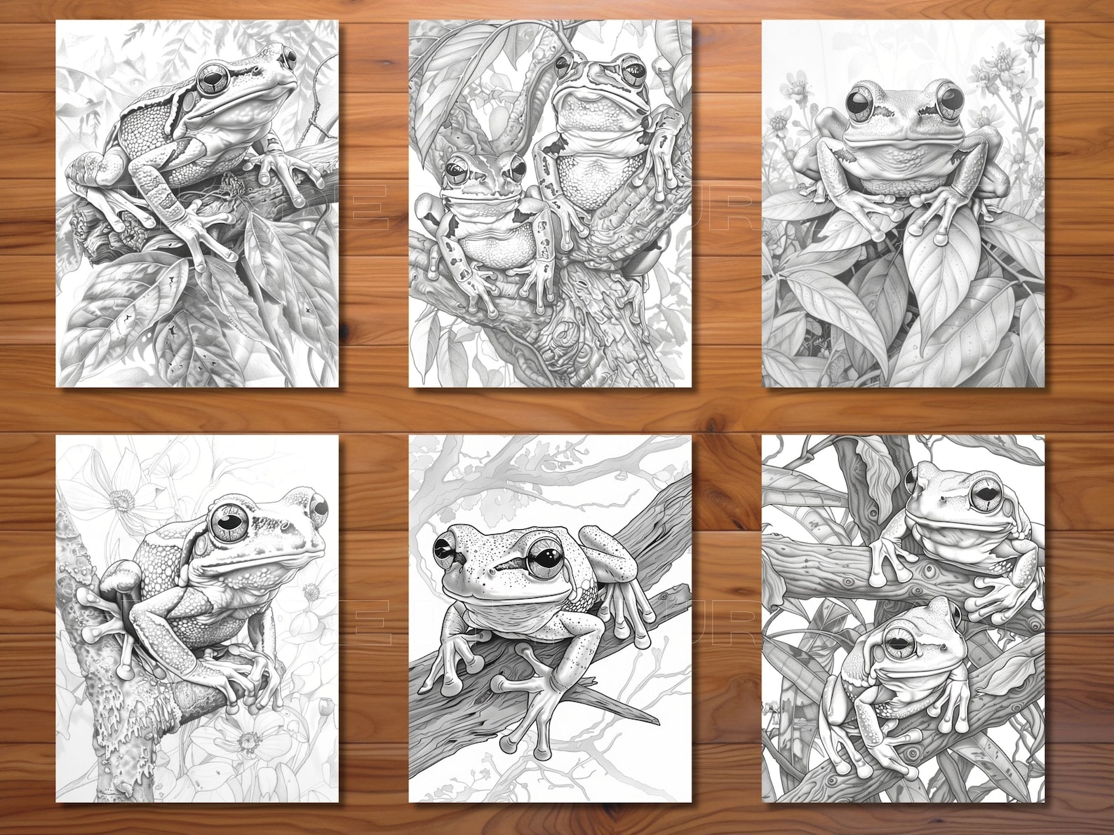30 Tree Frogs Coloring Page Book - Adults + Kids - Instant Download ...