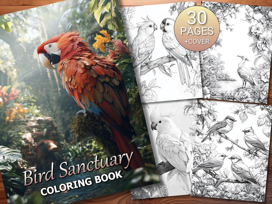 30 Bird Sanctuary Coloring Page Book - Adults + Kids - Instant Download ...