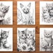 30 Little Cattitude Coloring Page Book - Adults + Kids - Instant ...