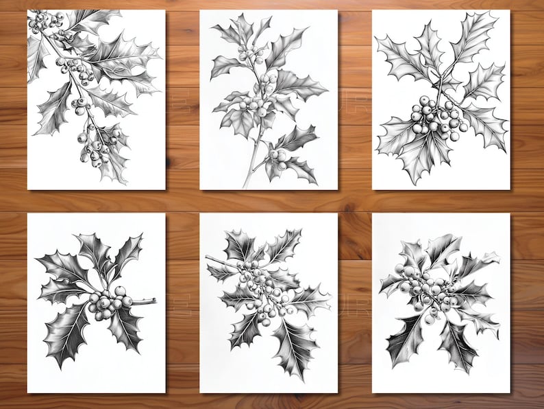 30 Holly Coloring Page Book - Adults + Kids - Instant Download ...