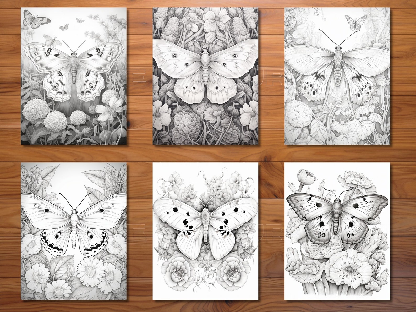 30 Moths Coloring Page Book Adults Kids Instant Download - Etsy