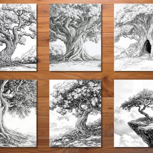 30 Ancient Tree Coloring Page Book - Adults + Kids - Instant Download ...