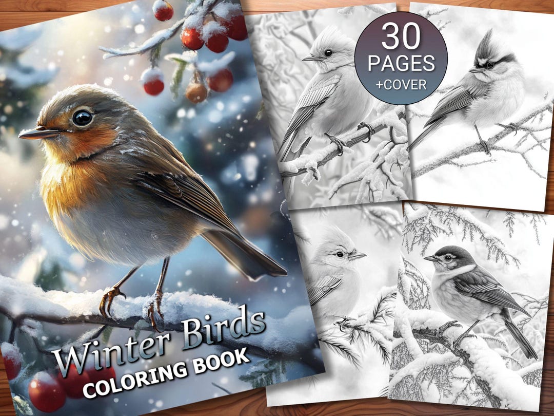 30 Winter Birds Coloring Page Book - Adults + Kids - Instant Download ...