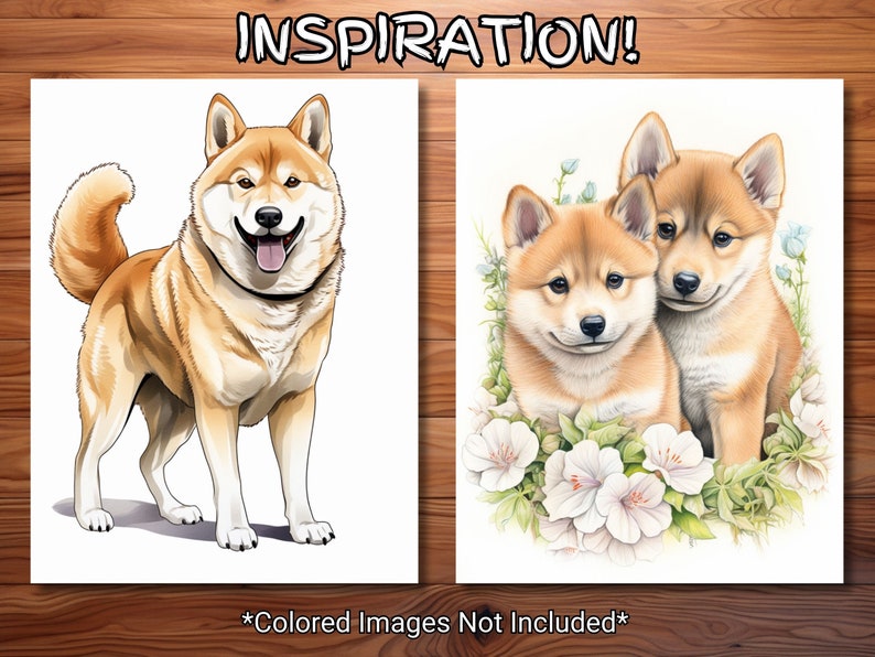 30 Shiba Shenanigans Coloring Page Book Adults Kids Instant Download ...