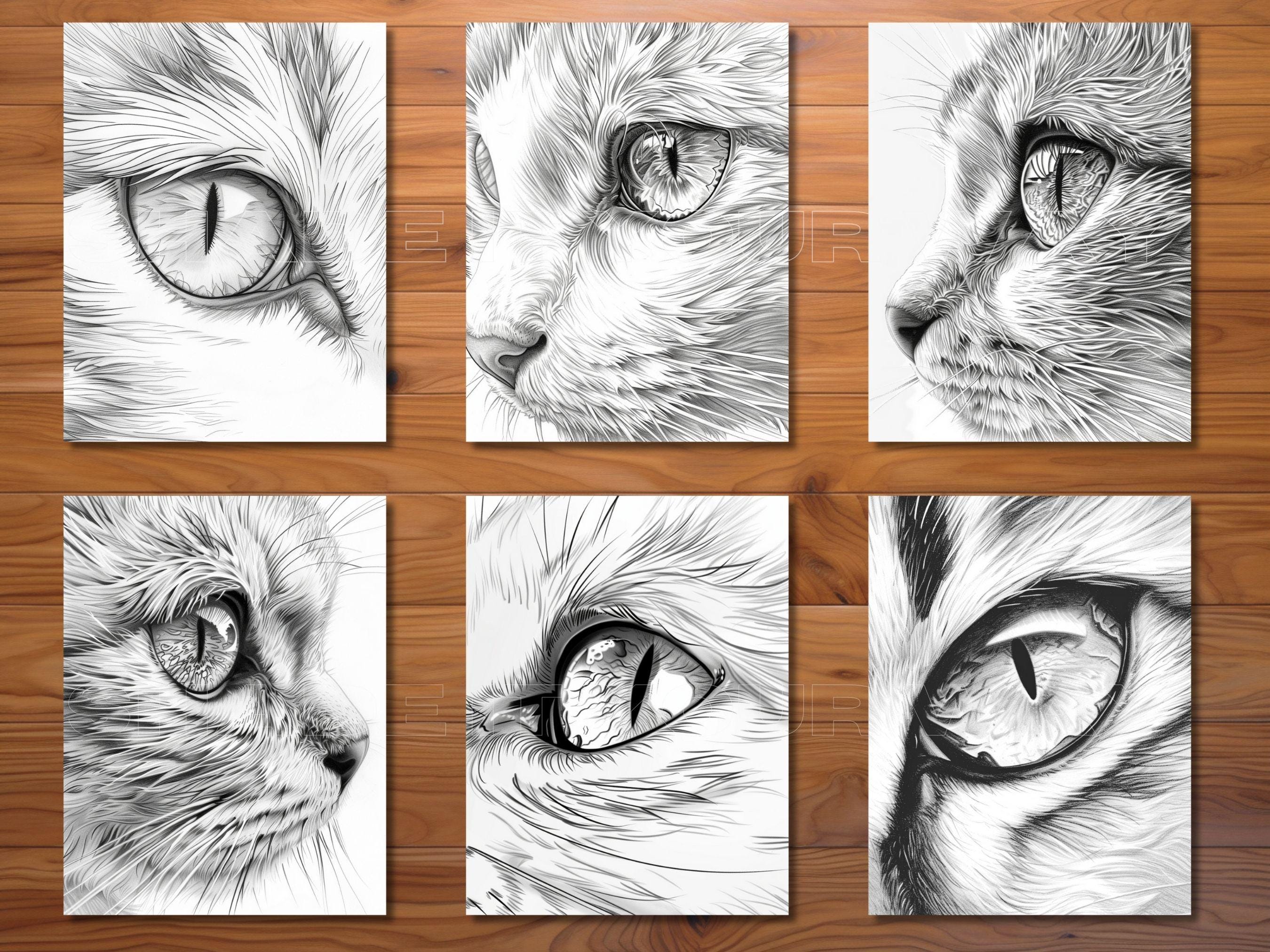 30 Cat Eyes Coloring Page Book - Adults + Kids - Instant Download ...