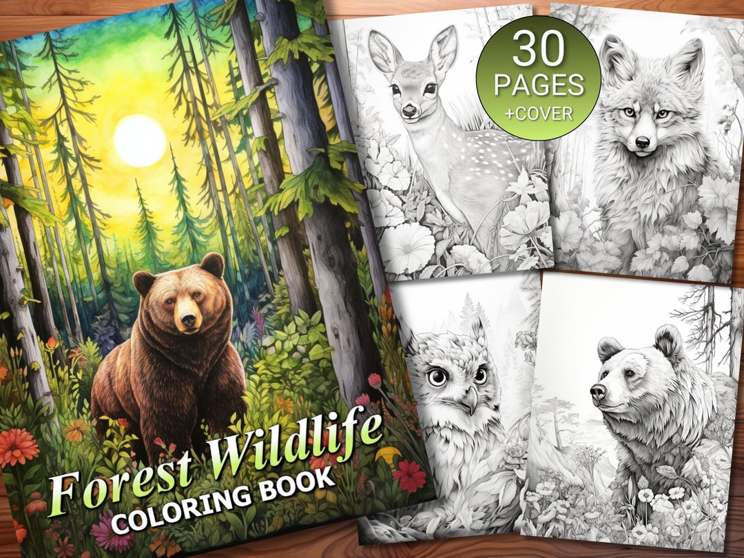 30 Forest Wildlife Coloring Page Book - Adults + Kids - Instant ...