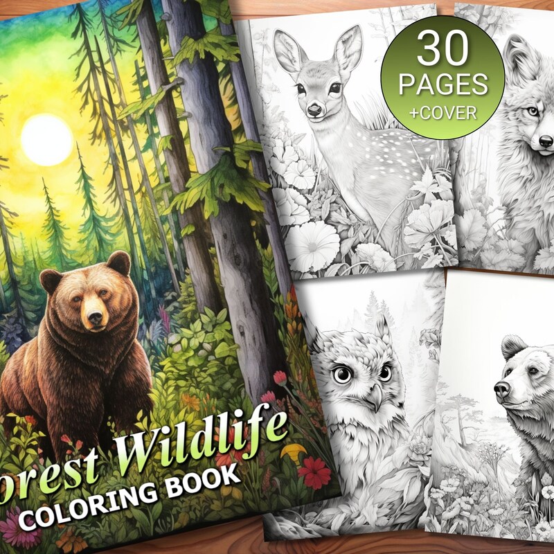 Coloring Wildlife Pages - Etsy