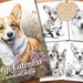 30 Corgi Cuteness Coloring Page Book Adults Kids Instant Download ...