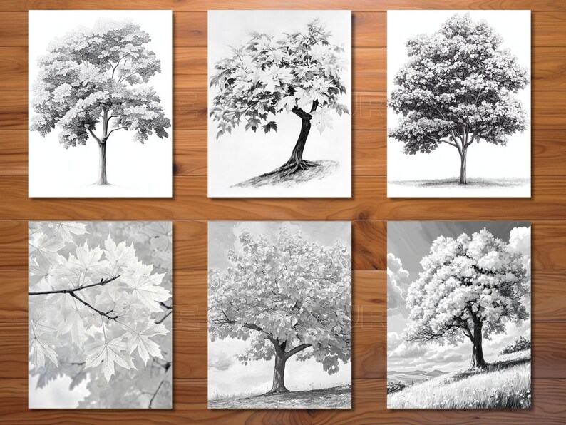 30 Maple Trees Coloring Page Book - Adults + Kids - Instant Download ...