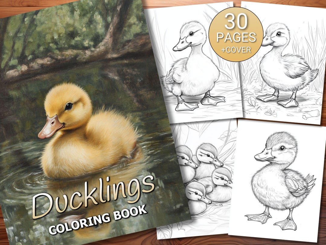 30 Ducklings Coloring Page Book - Adults + Kids - Instant Download ...