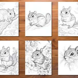 30 Chipmunks Coloring Page Book - Adults + Kids - Instant Download ...