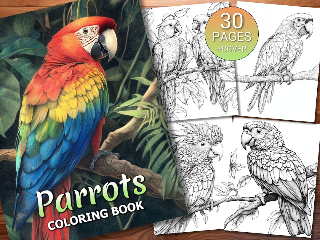 30 Parrots Coloring Page Book - Adults + Kids - Instant Download ...