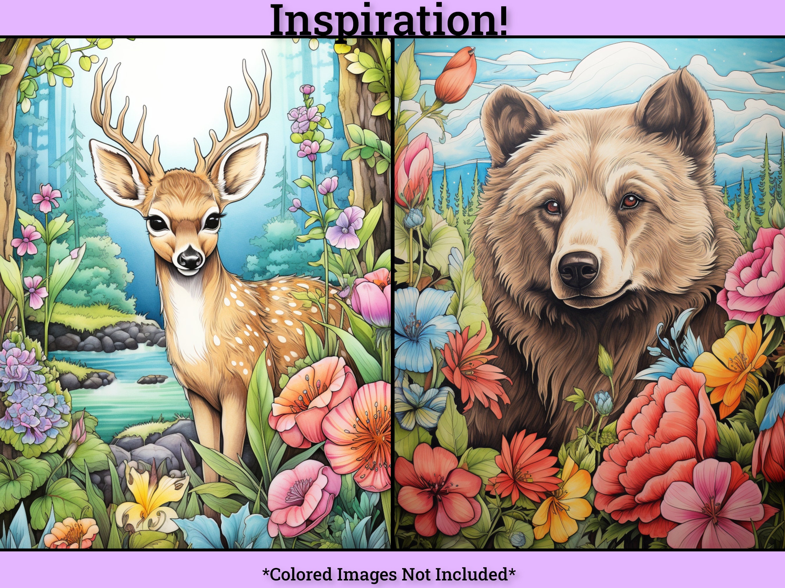 30 Wildlife Adventures Coloring Page Book Adults Kids - Etsy Canada