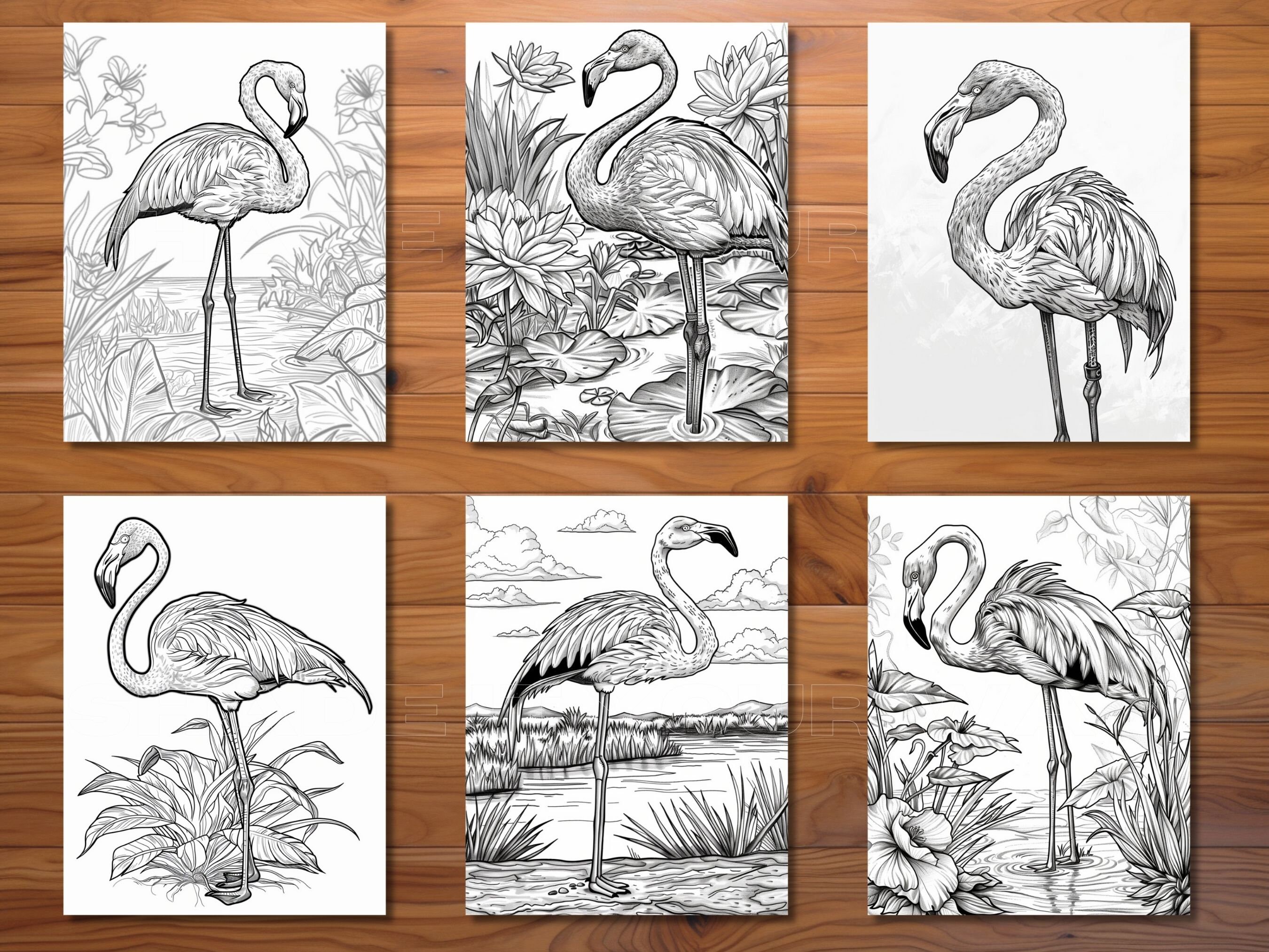 30 Flamingo Coloring Page Book - Adults + Kids - Instant Download ...