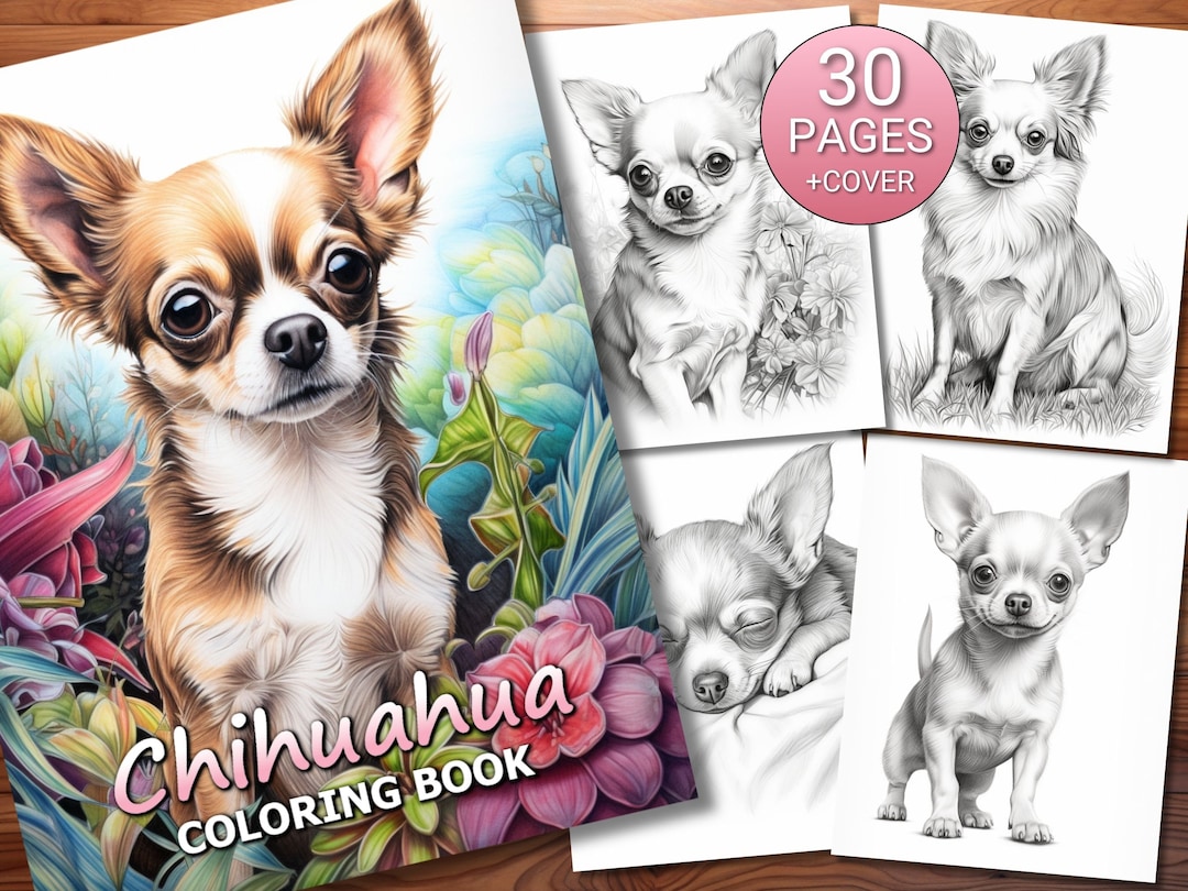 30 Chihuahua Coloring Page Book - Adults + Kids - Instant Download ...