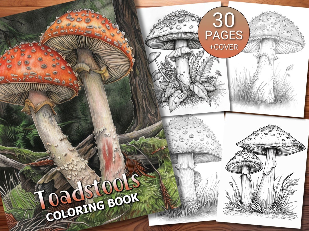 30 Toadstools Coloring Page Book - Adults + Kids - Instant Download ...