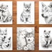 30 Shiba Shenanigans Coloring Page Book - Adults + Kids - Instant ...