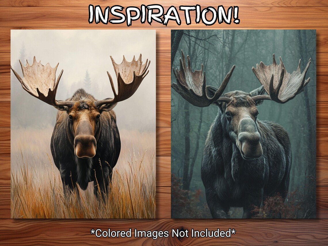 30 Moose Coloring Page Book - Adults + Kids - Instant Download ...
