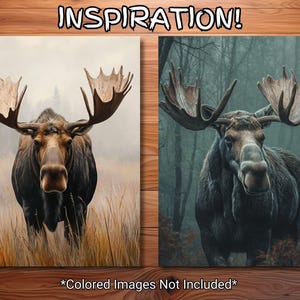 30 Moose Coloring Page Book - Adults + Kids - Instant Download ...