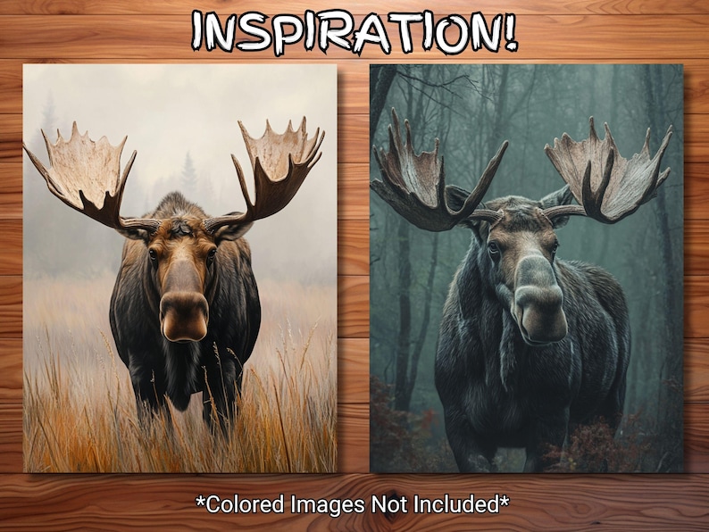 30 Moose Coloring Page Book - Adults + Kids - Instant Download ...