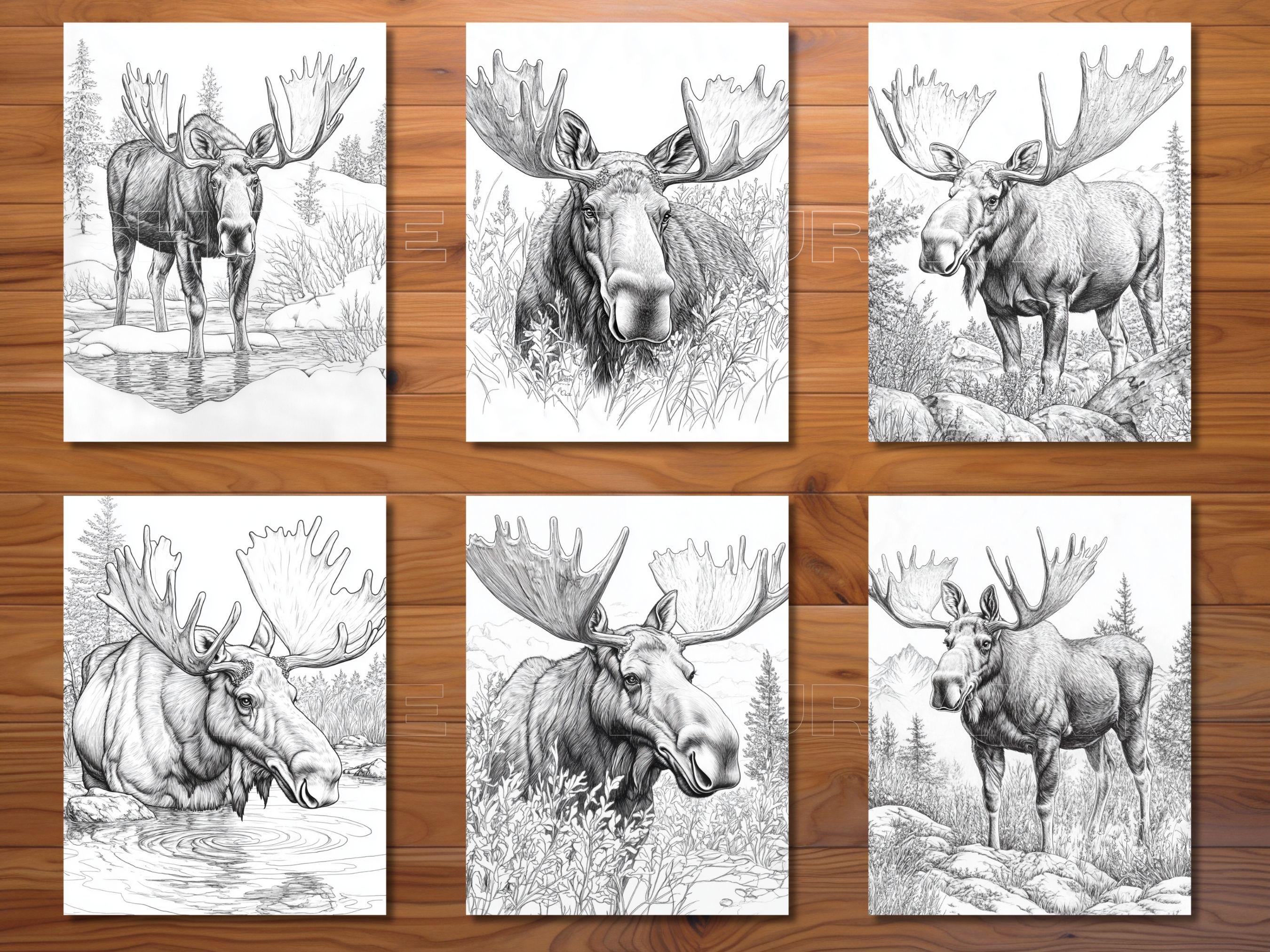 30 Moose Coloring Page Book - Adults + Kids - Instant Download ...