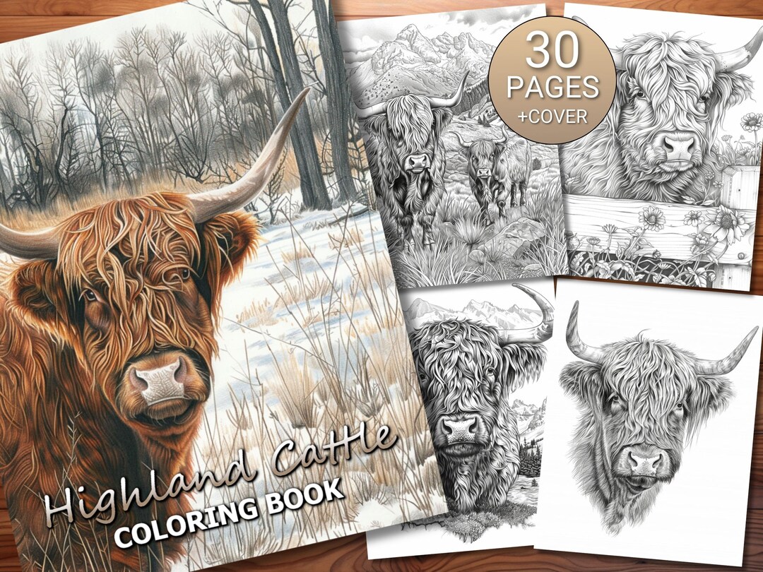 30 Highland Cattle Coloring Page Book - Adults + Kids - Instant ...