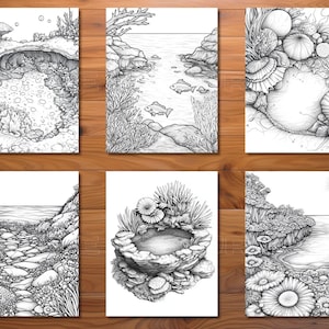 30 Tide Pool Coloring Page Book - Adults + Kids - Instant Download ...