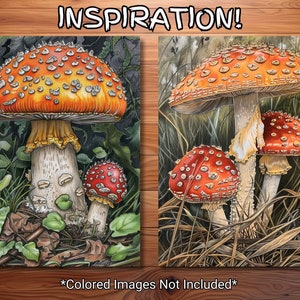30 Toadstools Coloring Page Book - Adults + Kids - Instant Download ...