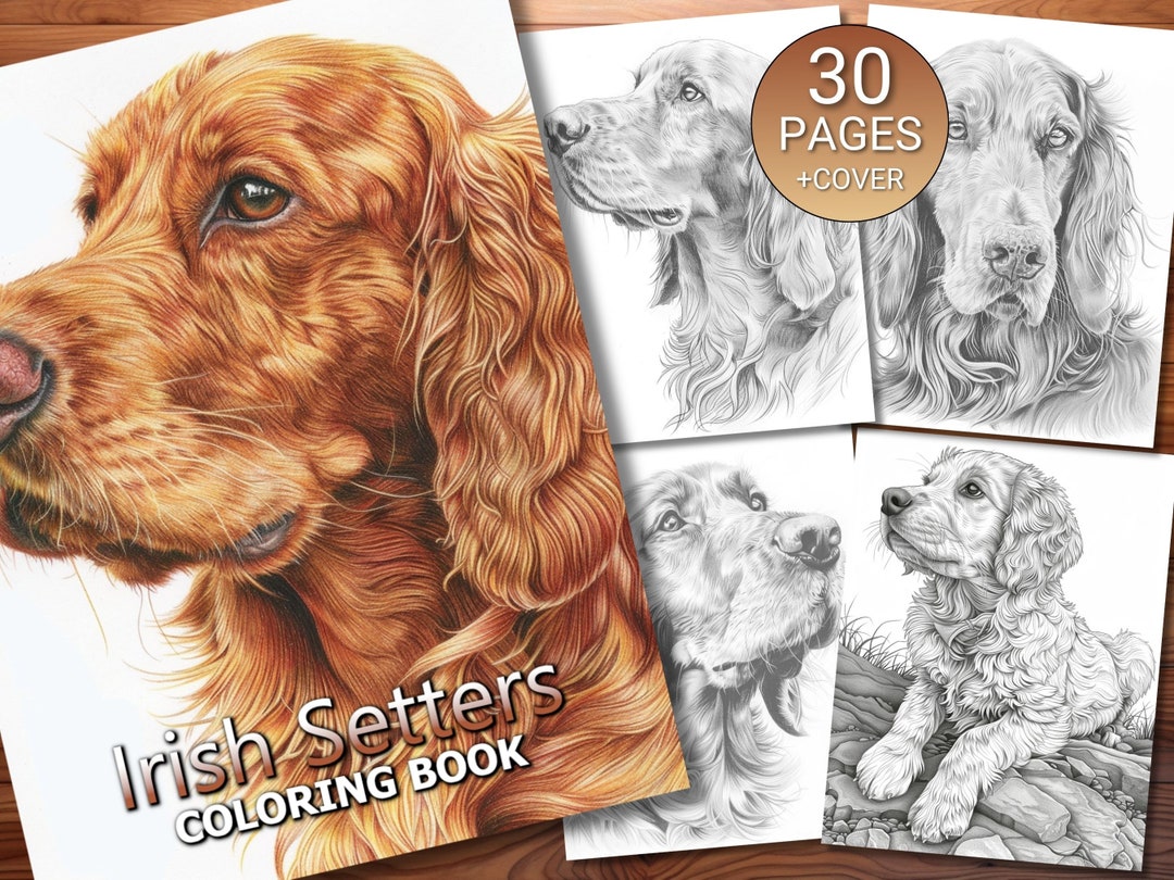 30 Irish Setters Coloring Page Book - Adults + Kids - Instant Download ...