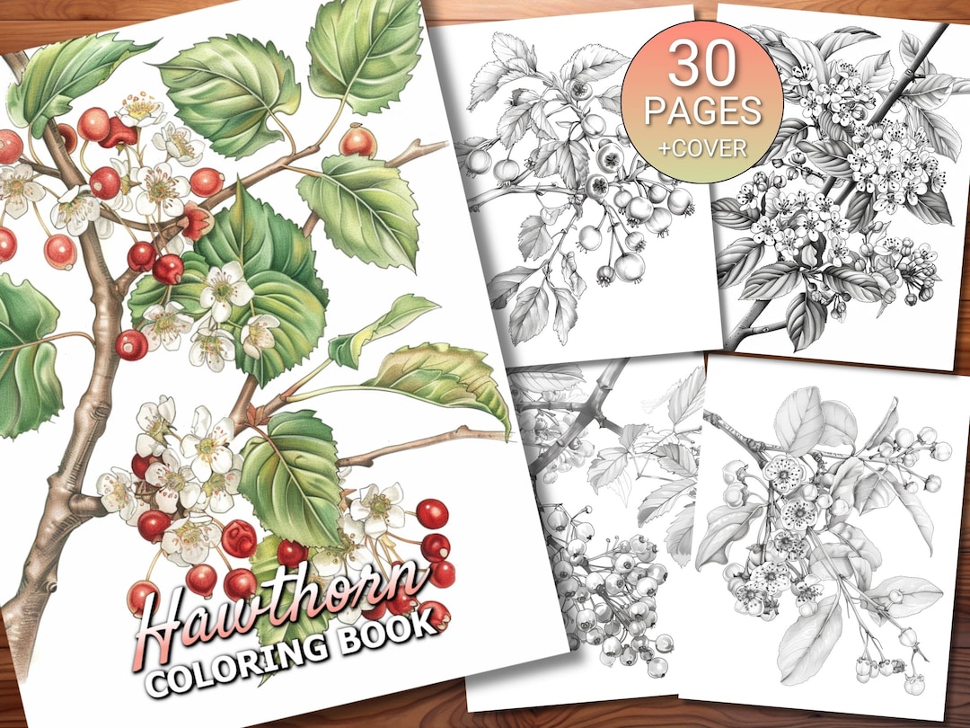 30 Hawthorn Coloring Page Book - Adults + Kids - Instant Download ...