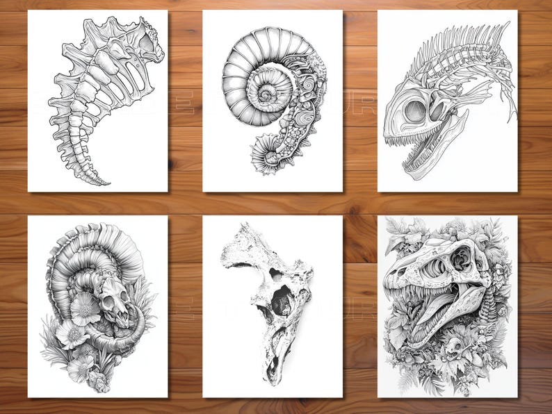 30 Fossils Coloring Page Book - Adults + Kids - Instant Download ...