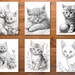 30 Little Cattitude Coloring Page Book - Adults + Kids - Instant ...